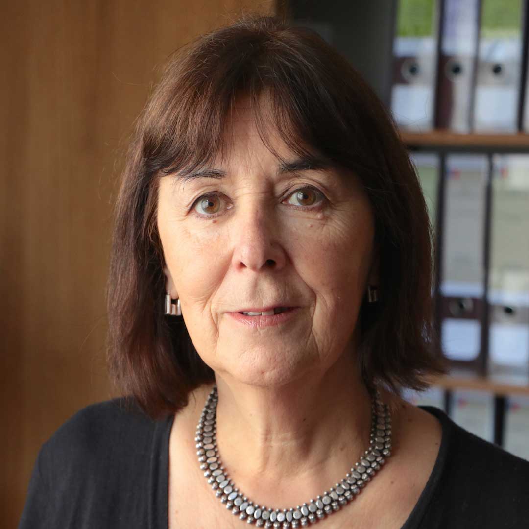 María Soledad Larraín Heiremans - Posgrados y Educación Continua UDP