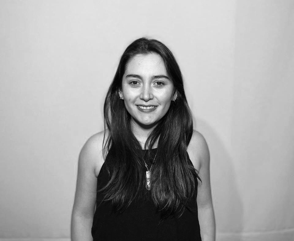 Diplomado en Políticas Públicas para el Desarrollo Territorial ...